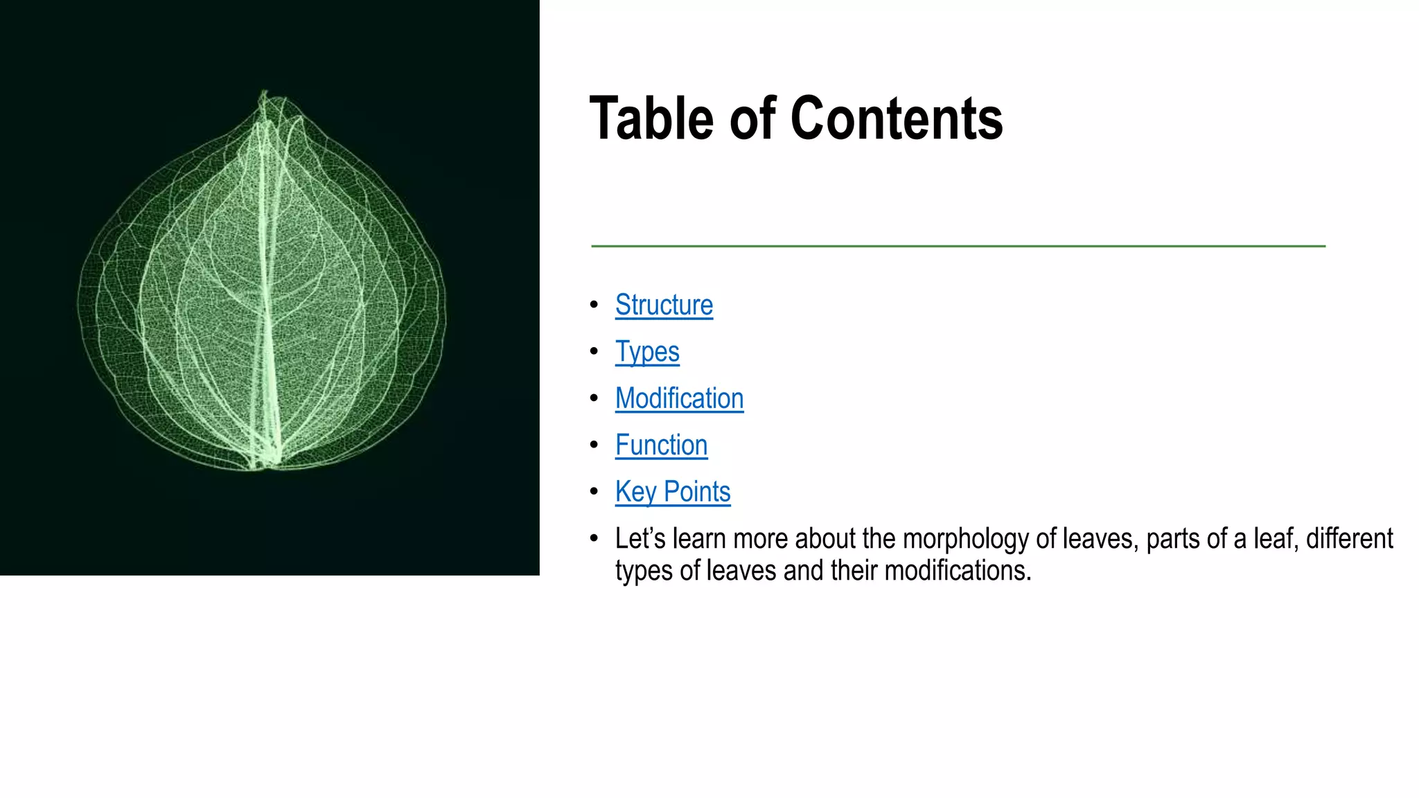 Leaves modifications.pptx