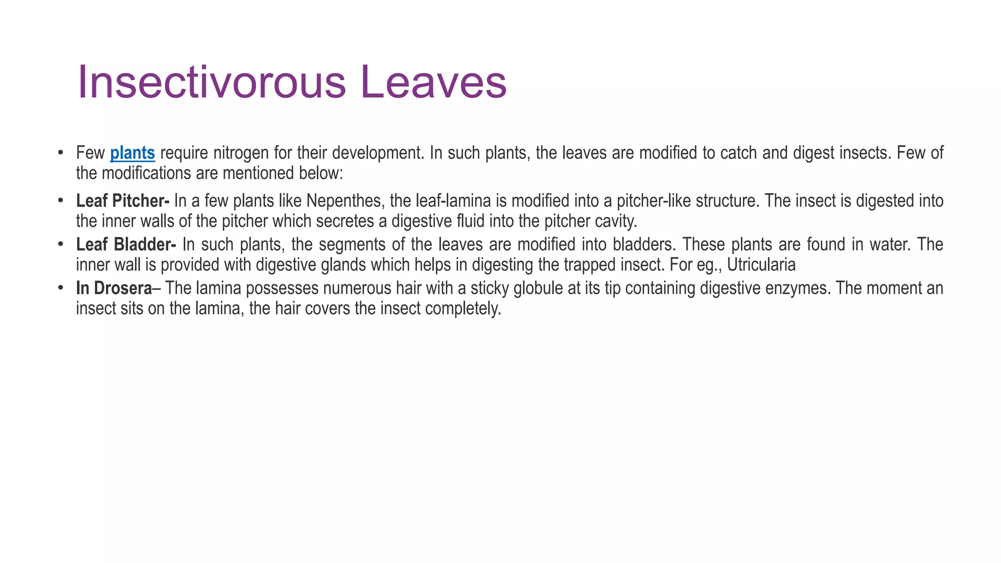 Leaves modifications.pptx