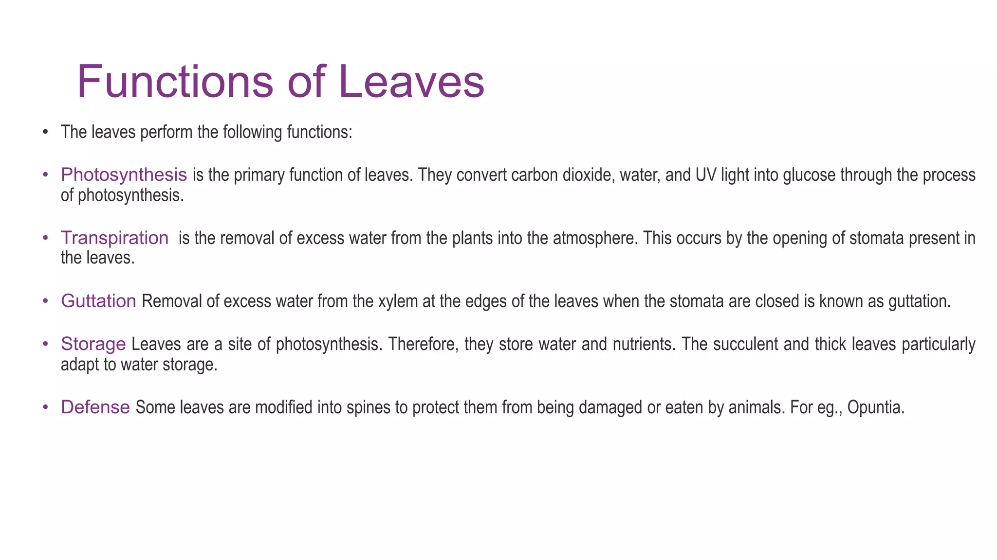 Leaves modifications.pptx