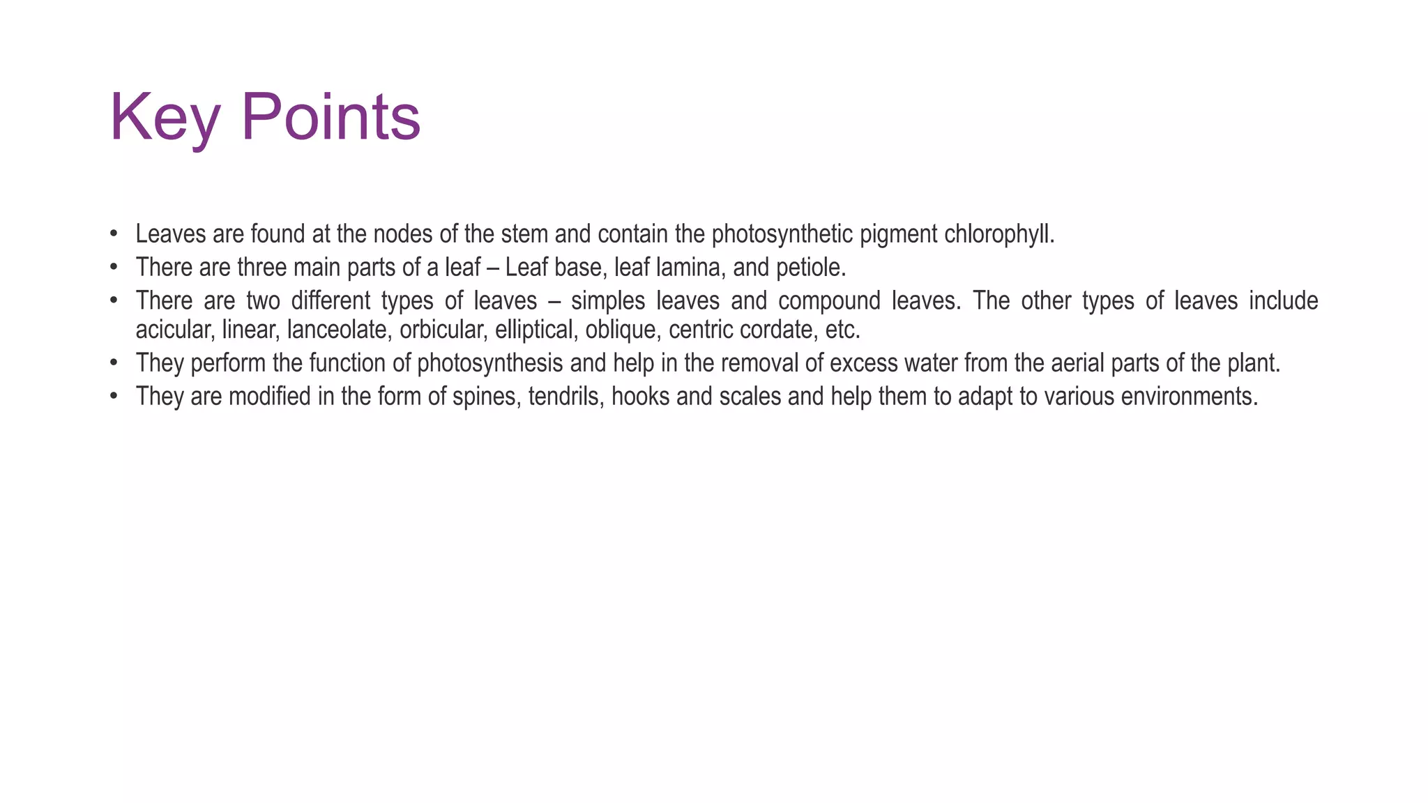 Leaves modifications.pptx