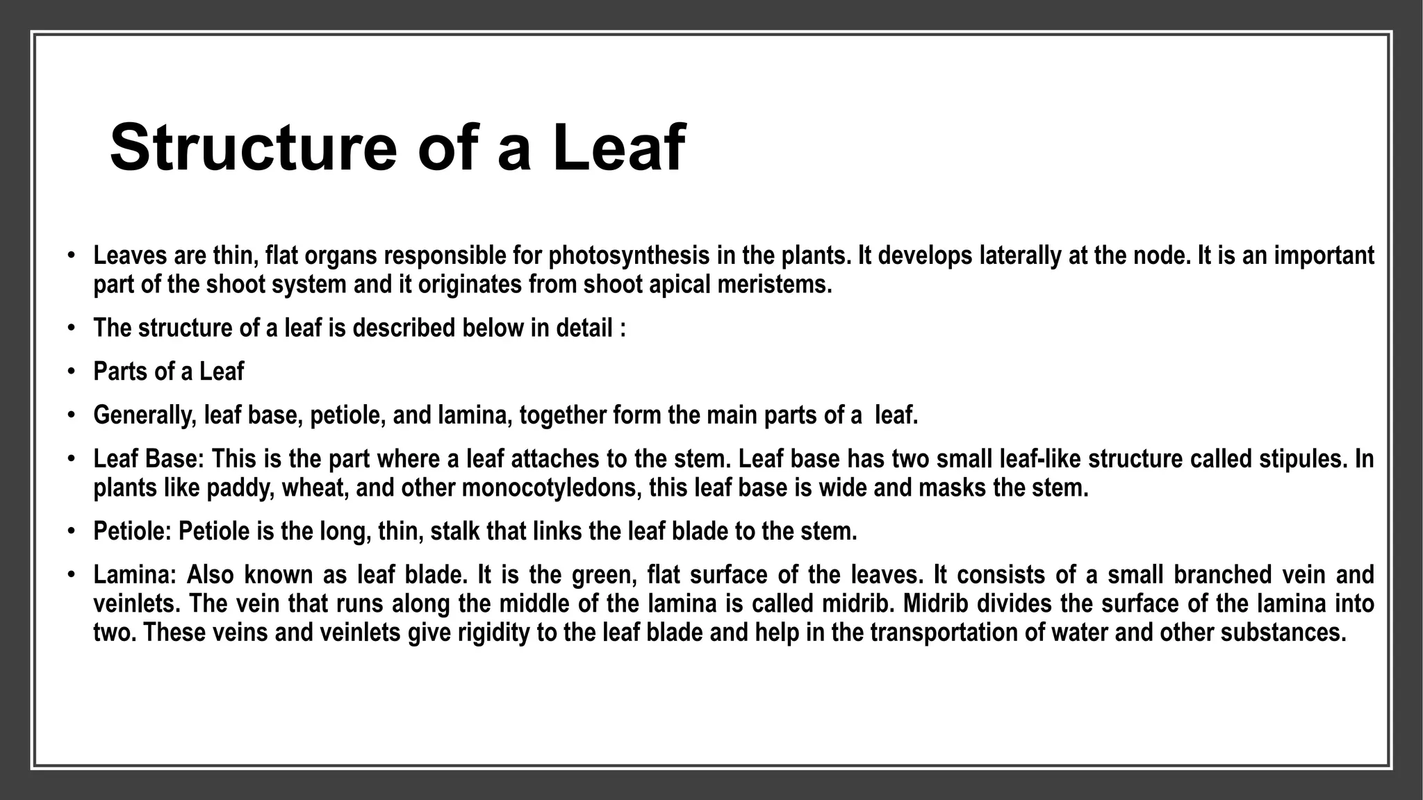 Leaves modifications.pptx