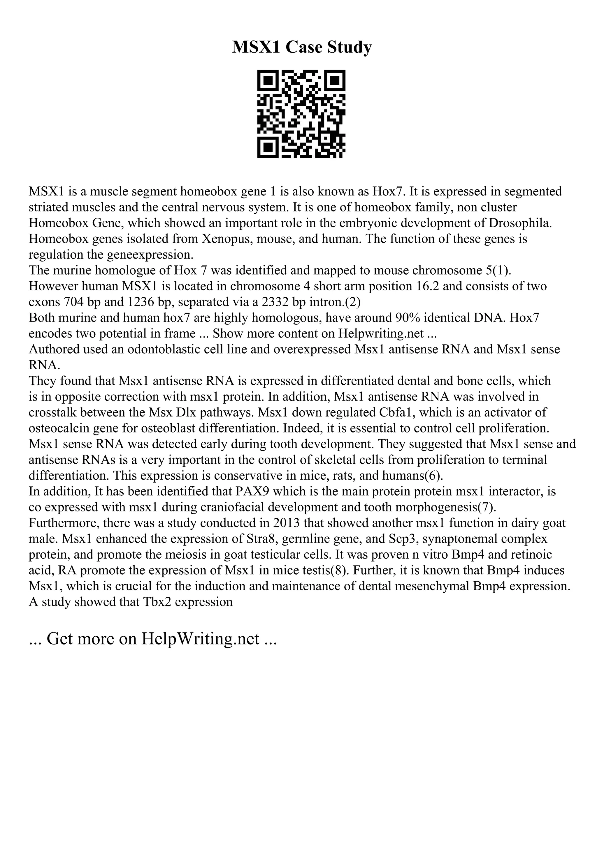 Leaving Cert English Essay Marking Scheme | PDF