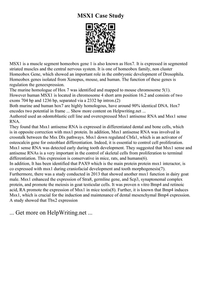 Leaving Cert English Essay Marking Scheme | PDF