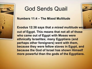 Journey Through the Wilderness | PPTX