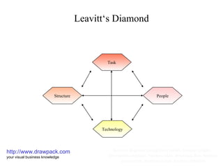 Leavitt's diamond business model | PPT