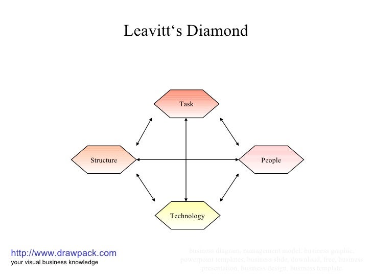 Leavitt's diamond business model Leavitt's diamond business model