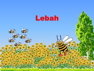 Lebah si pekerja keras | PPTX