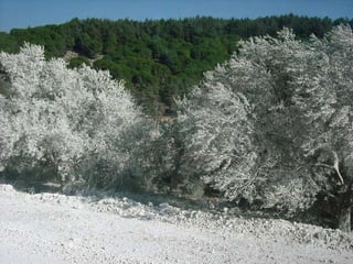 Lebanon Bayssour Hassbaya | PPS