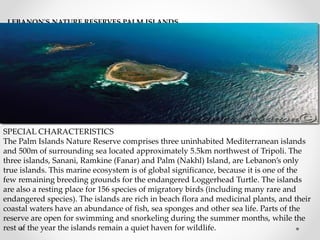 Lebanon protected areas | PPTX
