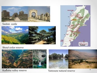 Lebanon protected areas | PPTX