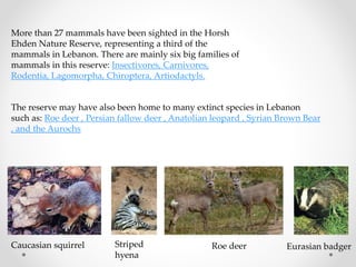 Lebanon protected areas | PPTX