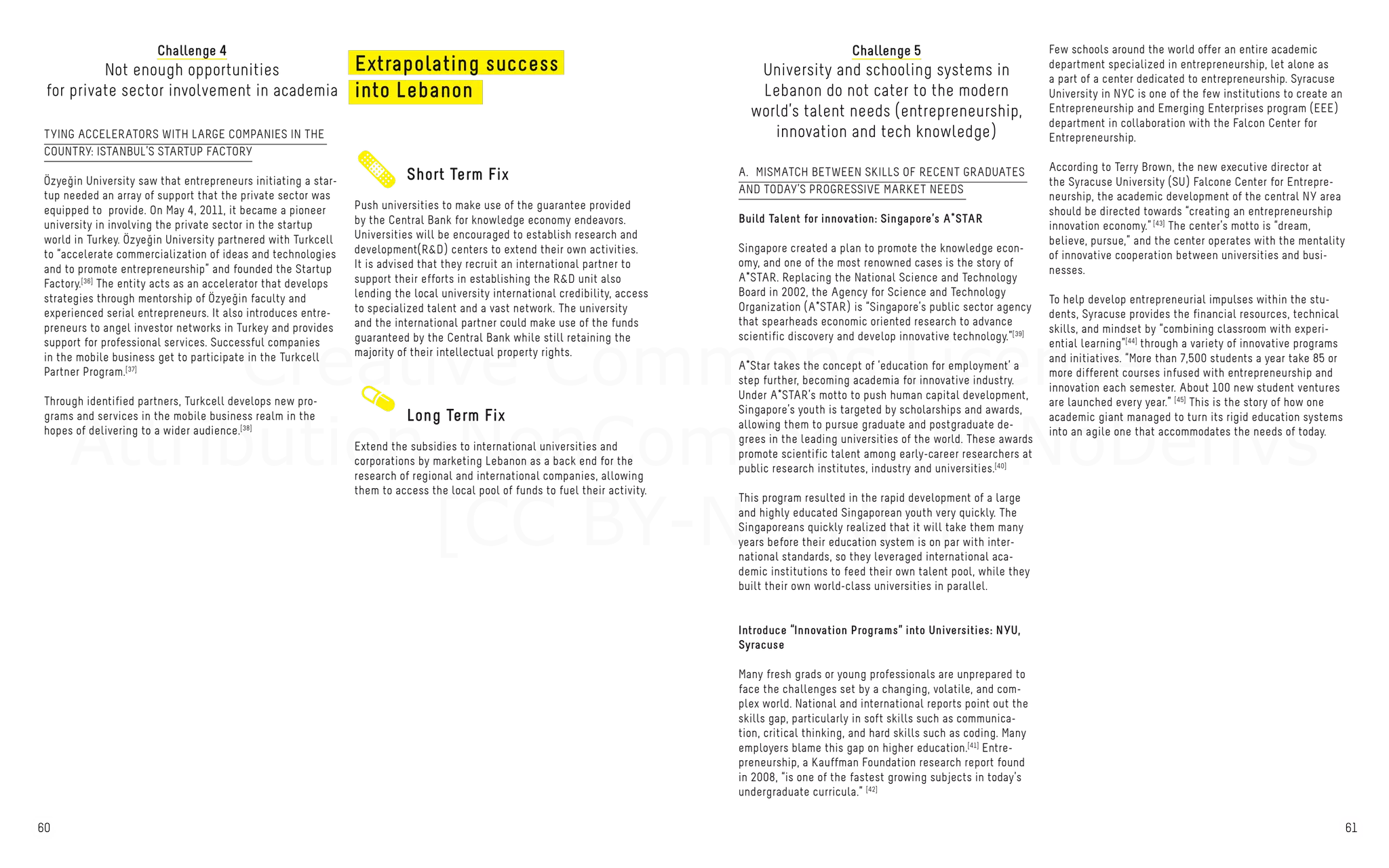 Lebanon's Startup Ecosystem Roadmap 2015 | PDF
