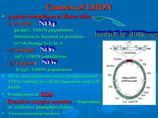Leber hereditary optic neuropathy | PPT