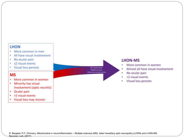 Leber’s Hereditary Optic Neuropathy – multiple sclerosis (LHON-MS) | PPT