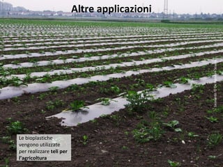 Le bioplastiche | PPT