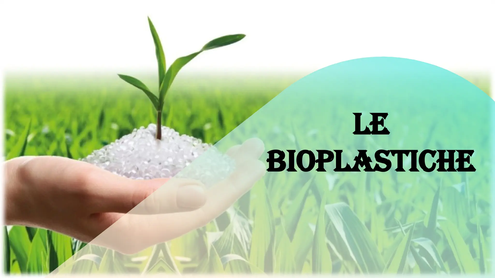 LE BIOPLASTICHE.pptx............. | PPTX