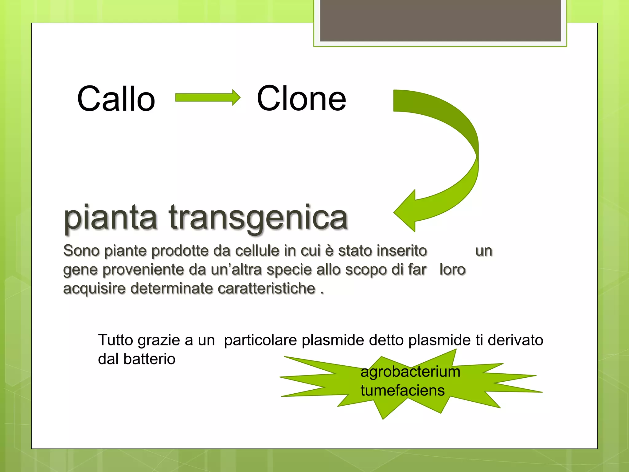 Le biotecnologie | PPTX