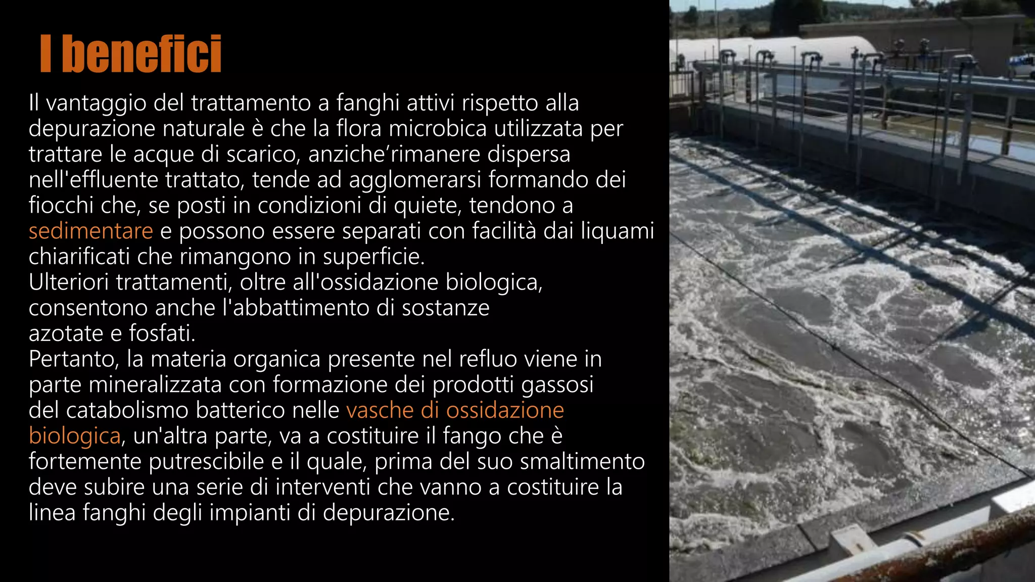 LE BIOTECNOLOGIE - depurazione acque reflue.pptx
