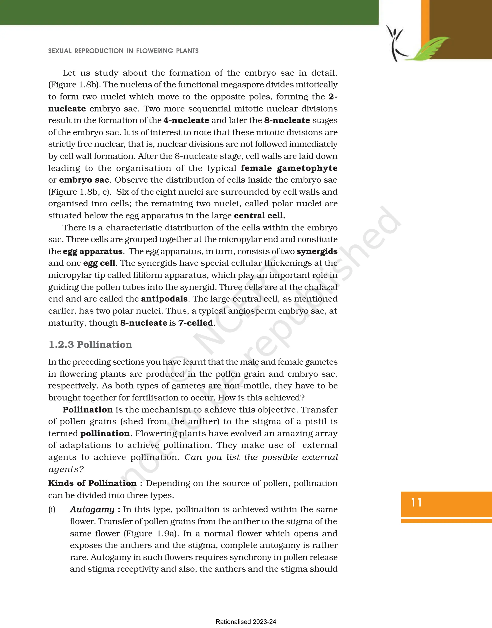 Ncert sexual reproduction in flowering plants | PDF