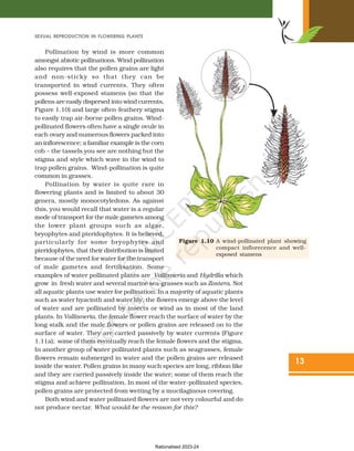 Ncert sexual reproduction in flowering plants | PDF