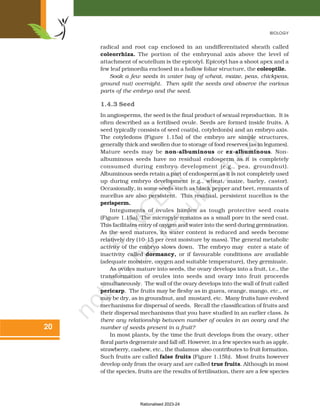 Ncert sexual reproduction in flowering plants | PDF