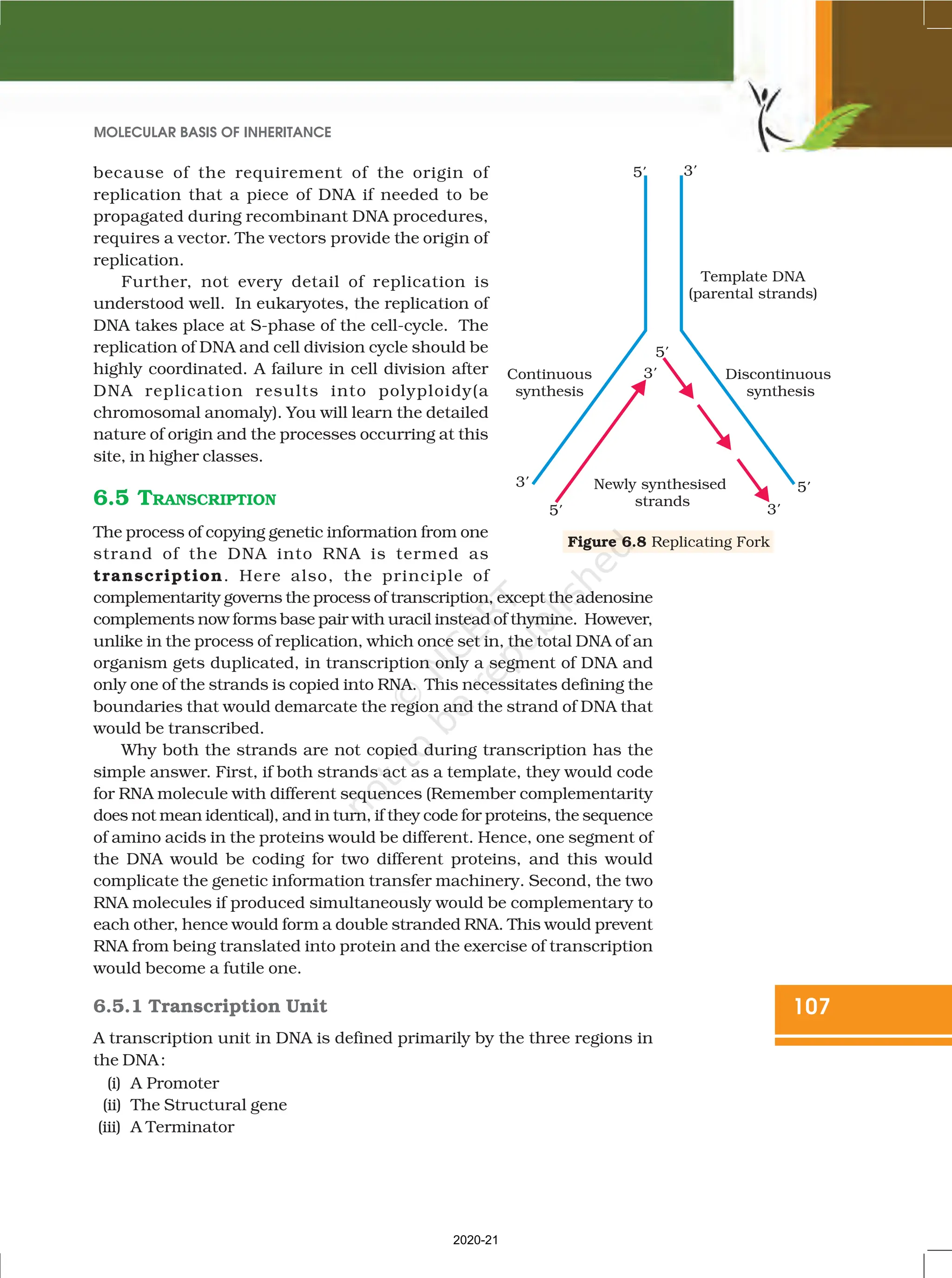MOLECULAR BASIS OF INHERITANCE ( it very useful) | PDF