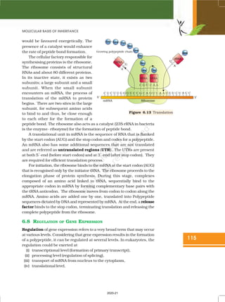MOLECULAR BASIS OF INHERITANCE ( it very useful) | PDF