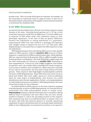 MOLECULAR BASIS OF INHERITANCE ( it very useful) | PDF