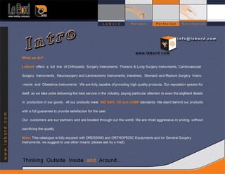 LeBord Orthopedic Catalogue (Instruments) | PPT