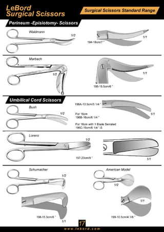 LeBord Surgical Scissors | PDF