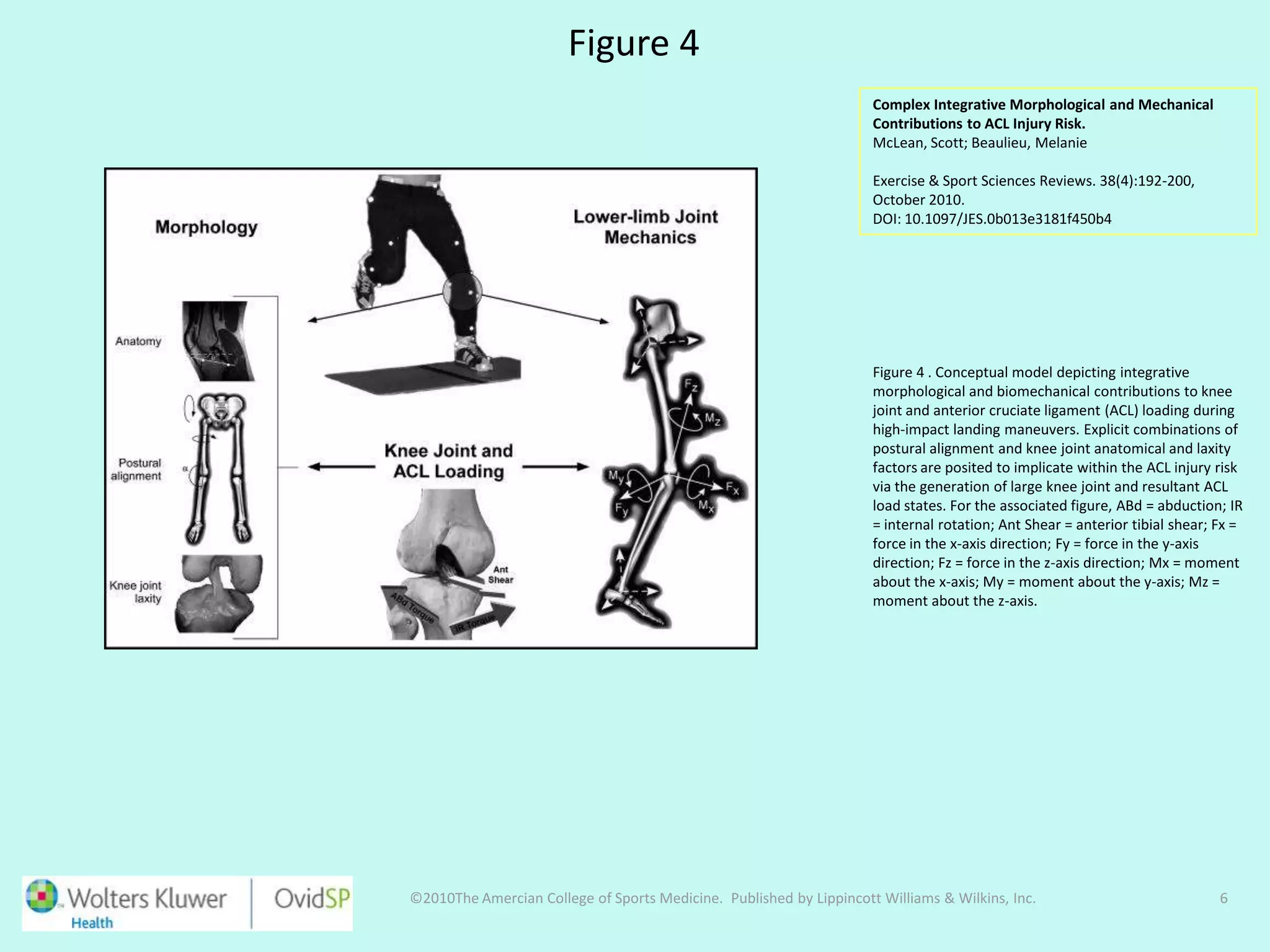 ACL Injuries in Women Athletes 2011 | PPTX