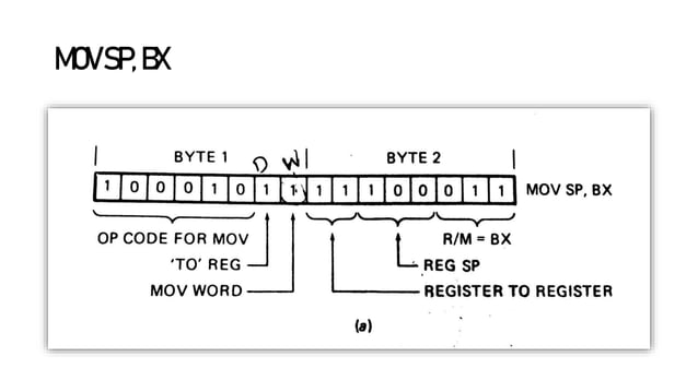 Assembly language programming introduction.pptx