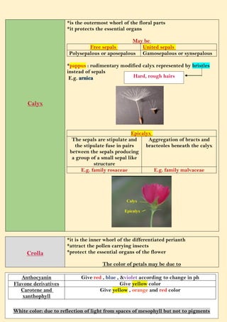 the flowers | PDF