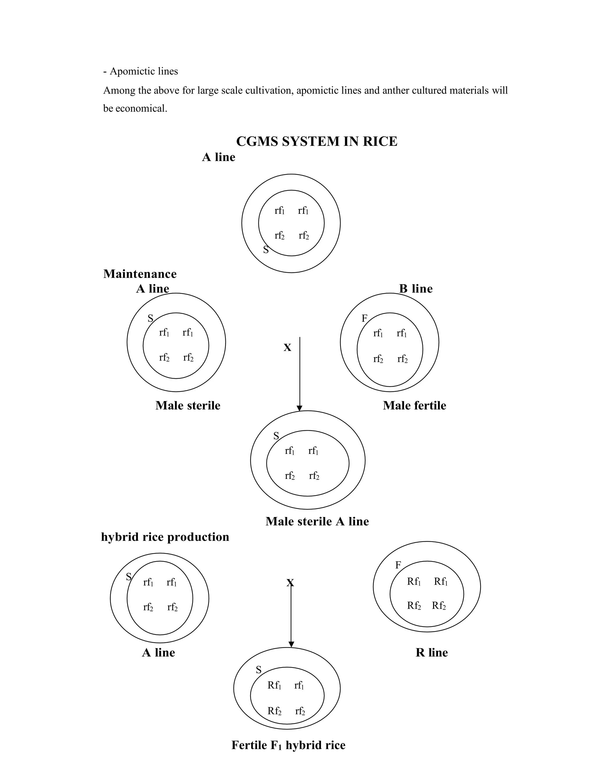 Lec-1.Centers-of-origin-distribution-of-species-wild-relatives-in ...