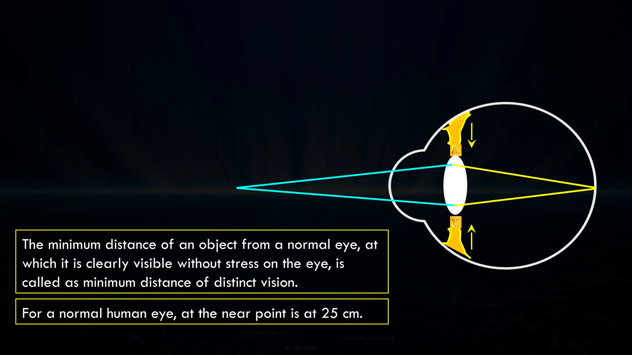 Lec-1. Human Eye Class 10 Cbse. Animated ppt | PPTX