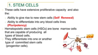 Lec-1.-Erythropoiesis and it's stages with fate of rbc | PDF