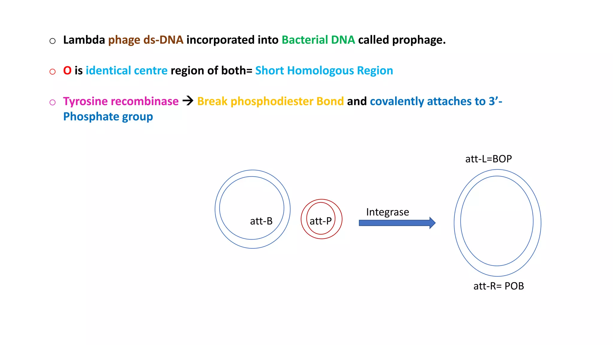 Homologous recombination and Site specific recombination | PPTX