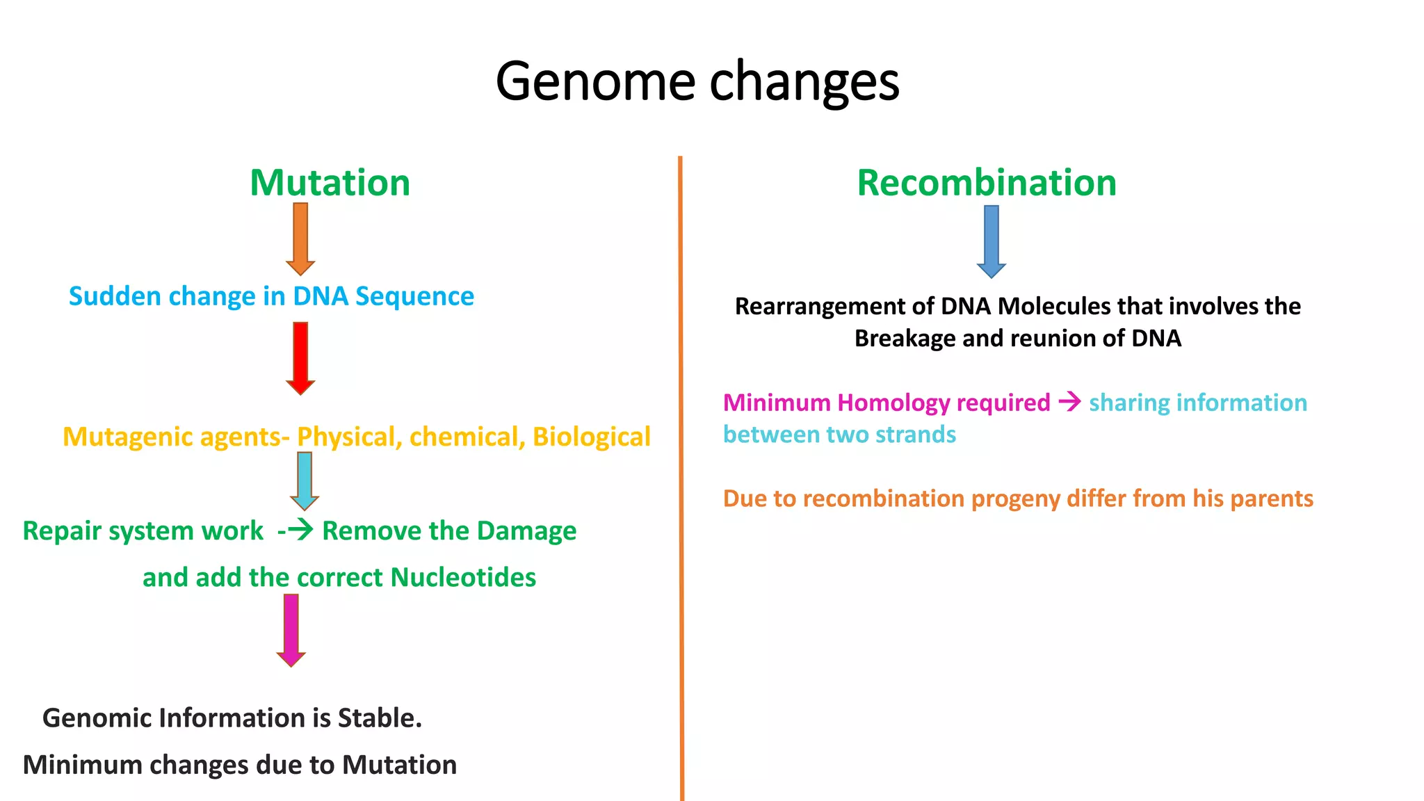 Homologous recombination and Site specific recombination | PPTX
