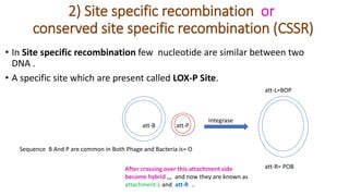 Homologous recombination and Site specific recombination | PPTX