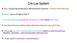 Homologous recombination and Site specific recombination | PPTX