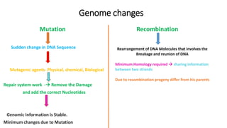 Homologous recombination and Site specific recombination | PPTX