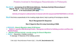 Homologous recombination and Site specific recombination | PPTX