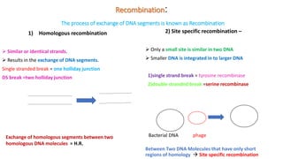 Homologous recombination and Site specific recombination | PPTX