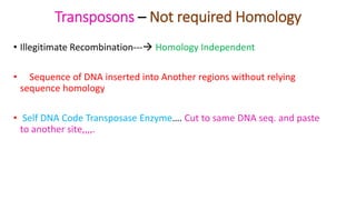 Homologous recombination and Site specific recombination | PPTX