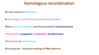 Homologous recombination and Site specific recombination | PPTX