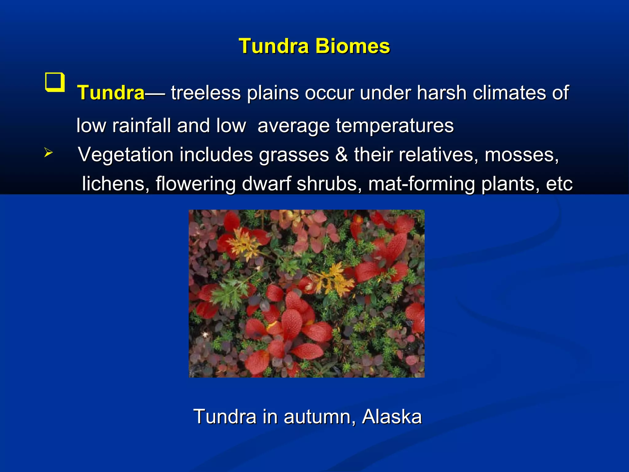 Lec 10 biomes | PPT