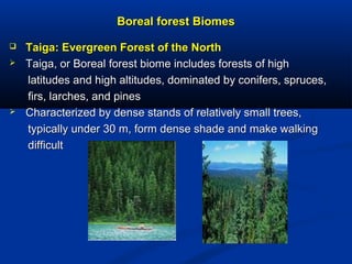 Lec 10 biomes | PPT