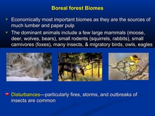 Lec 10 biomes | PPT