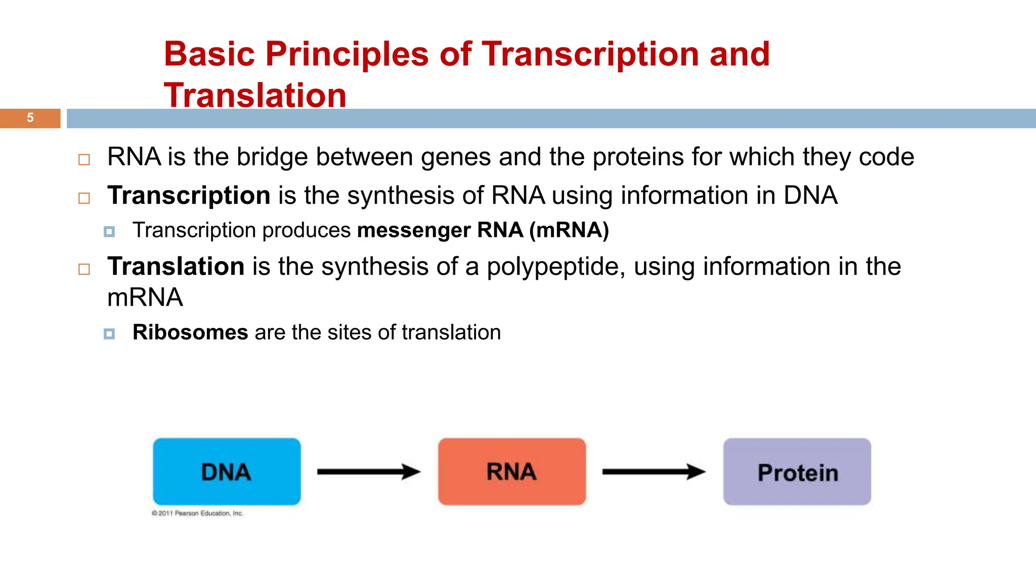 Biology Central dogma of life Lec-10_CDL.pptx