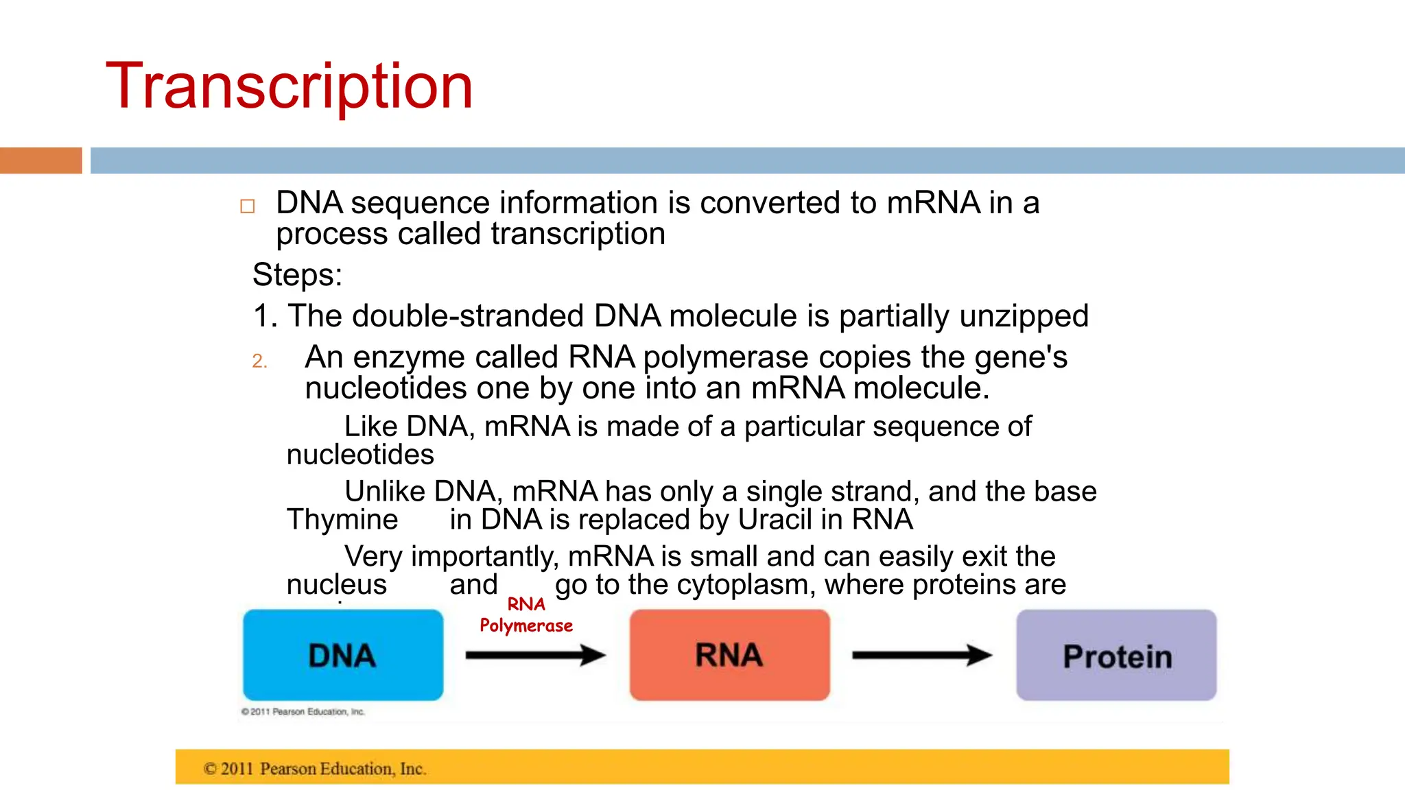 Biology Central dogma of life Lec-10_CDL.pptx